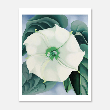 조지아 오키프 - Jimson Weed-White Flower No.1. 1932 - 아트앤에디션